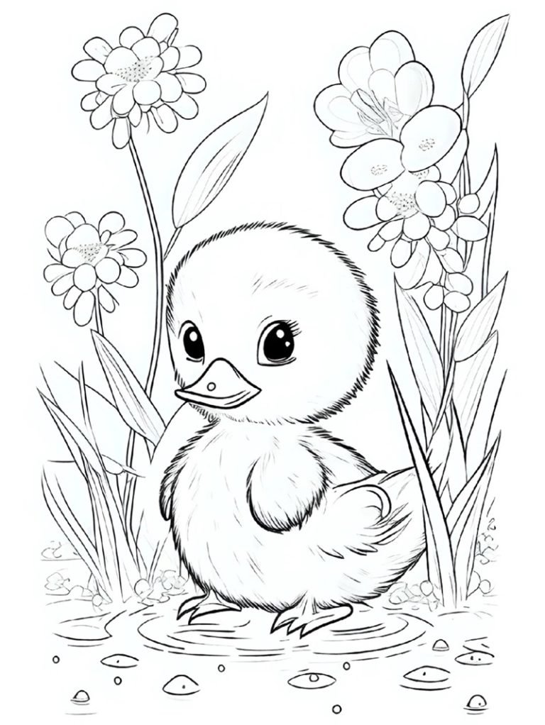 80+ Tranh tô màu con vịt cute hoạt động vừa học vừa chơi